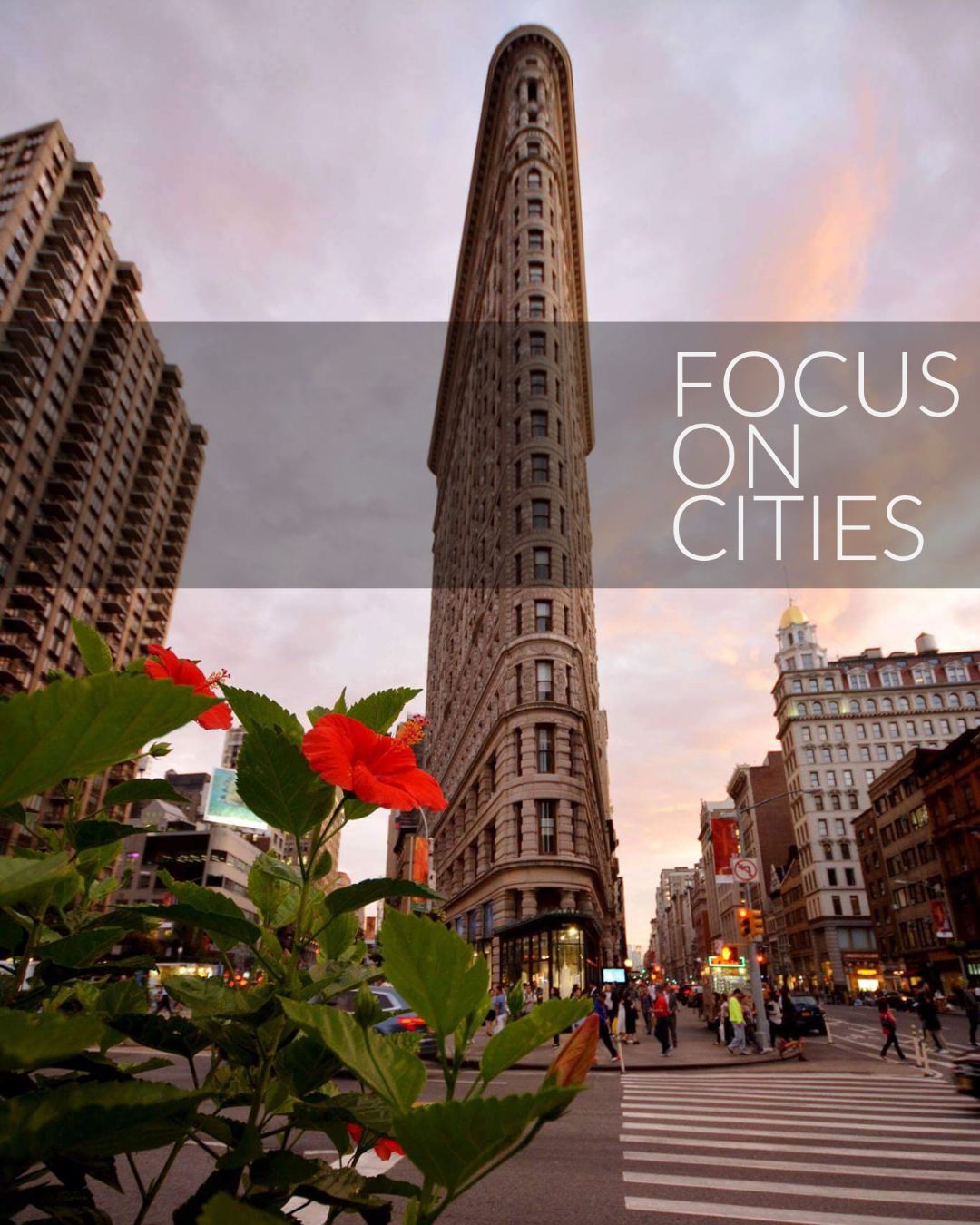 Areas of Focus - Pedestrian Space