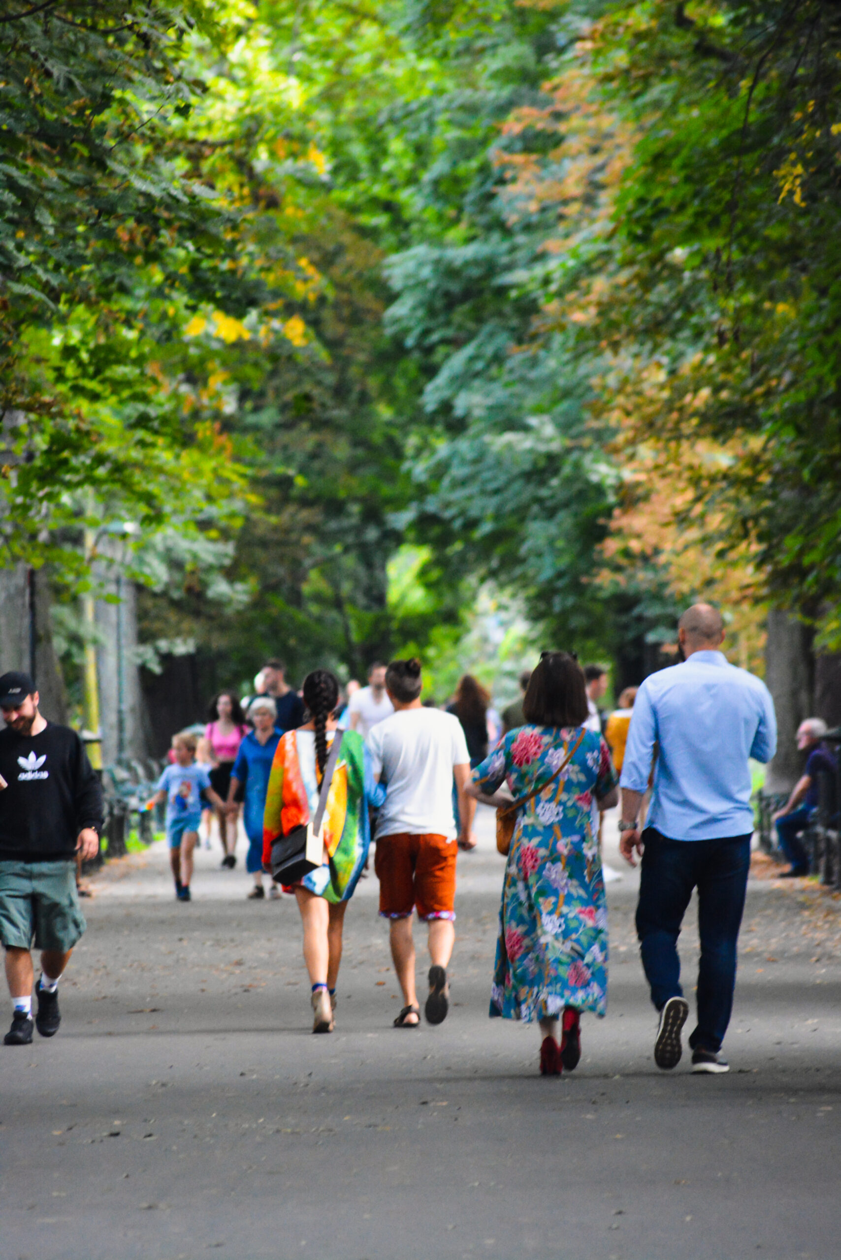 Sidewalk Access for All - Pedestrian Space