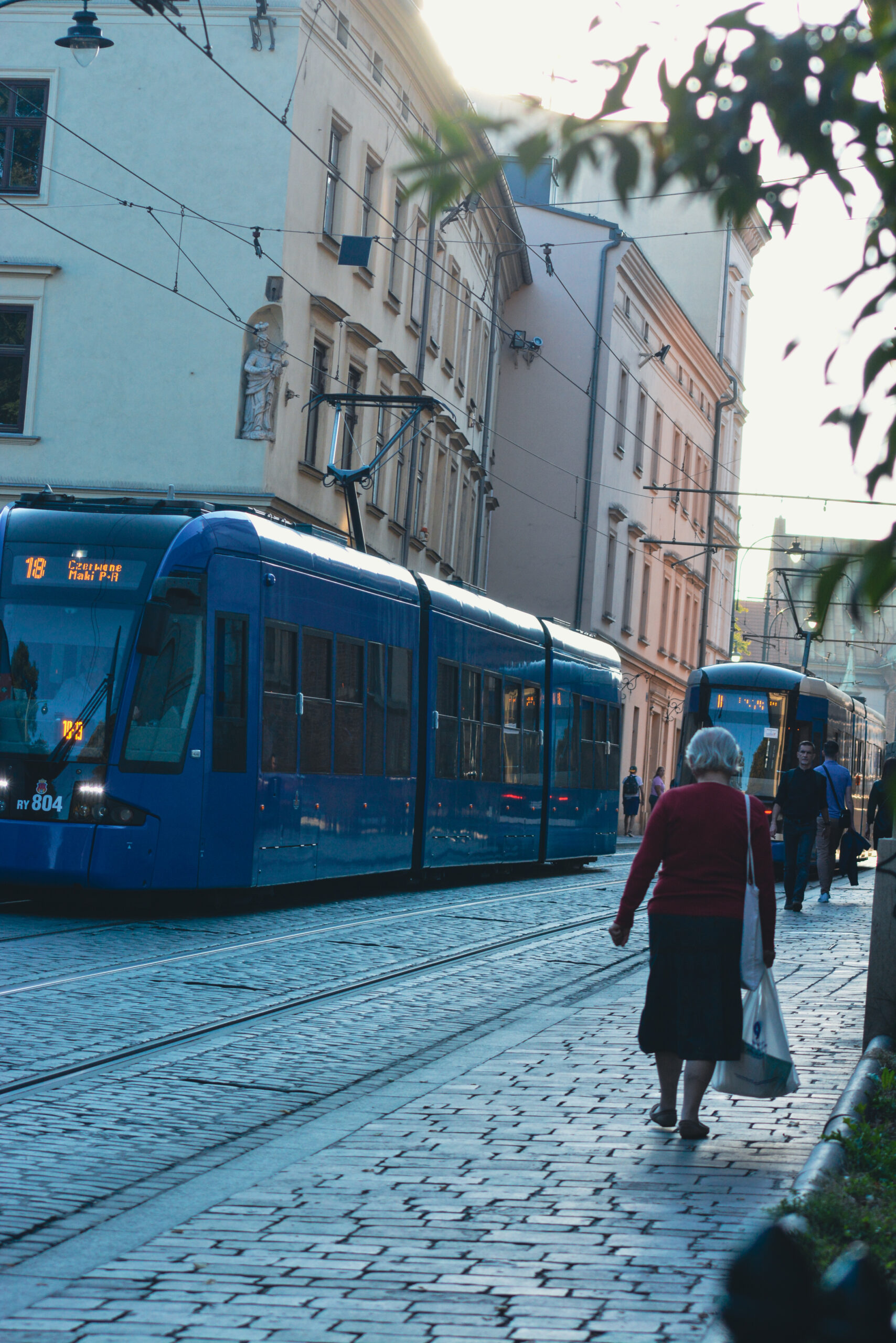 Talking about Public Transit - Pedestrian Space