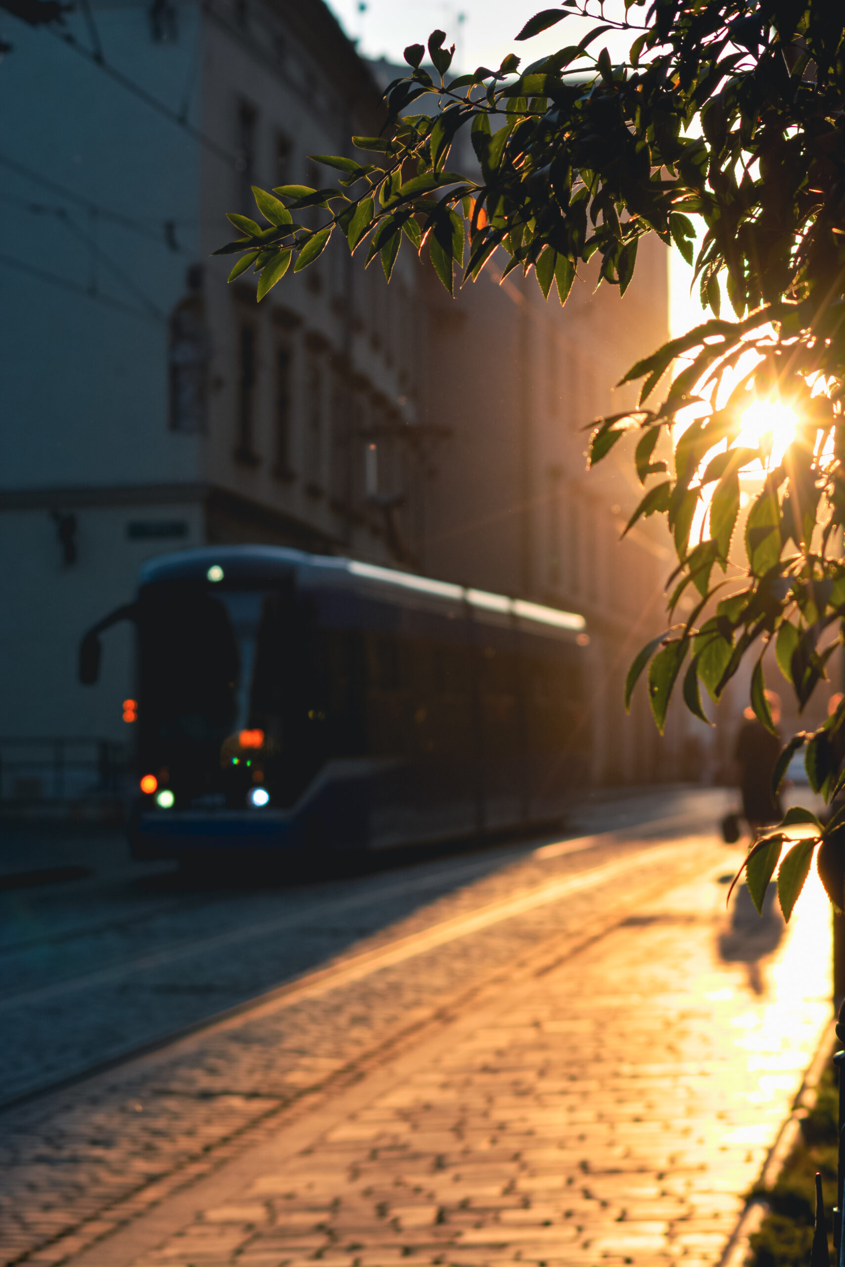 Talking about Public Transit - Pedestrian Space