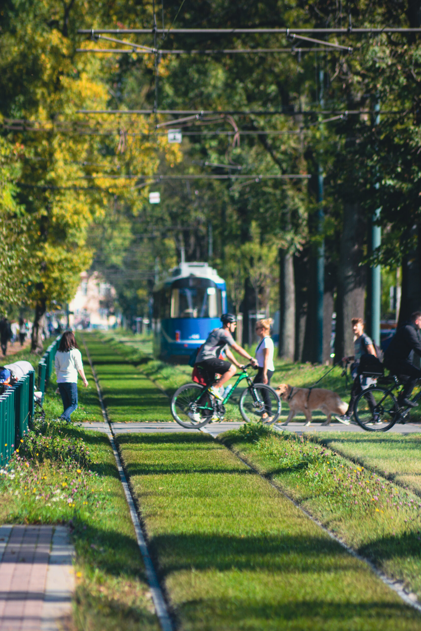 Talking about Public Transit - Pedestrian Space
