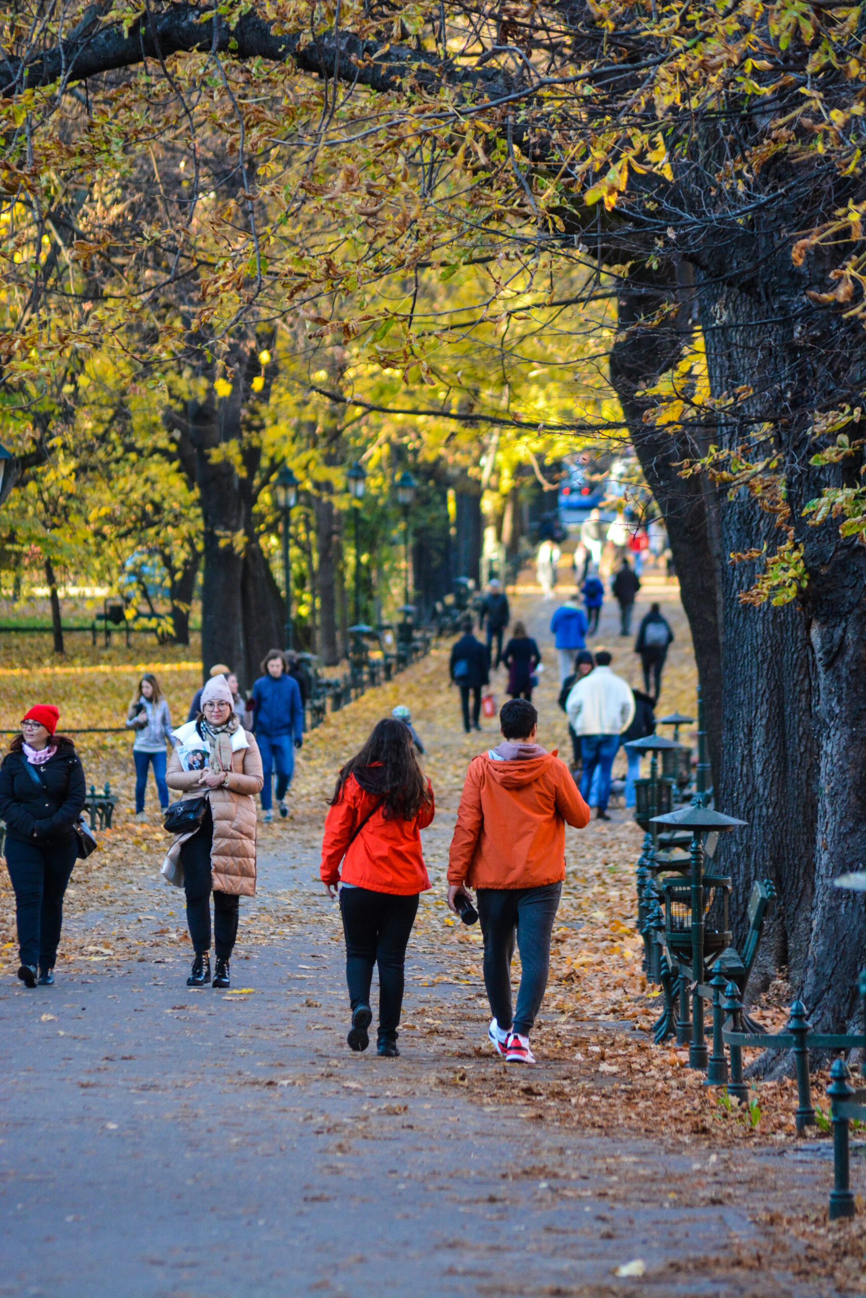 One Year at Pedestrian Space - Pedestrian Space