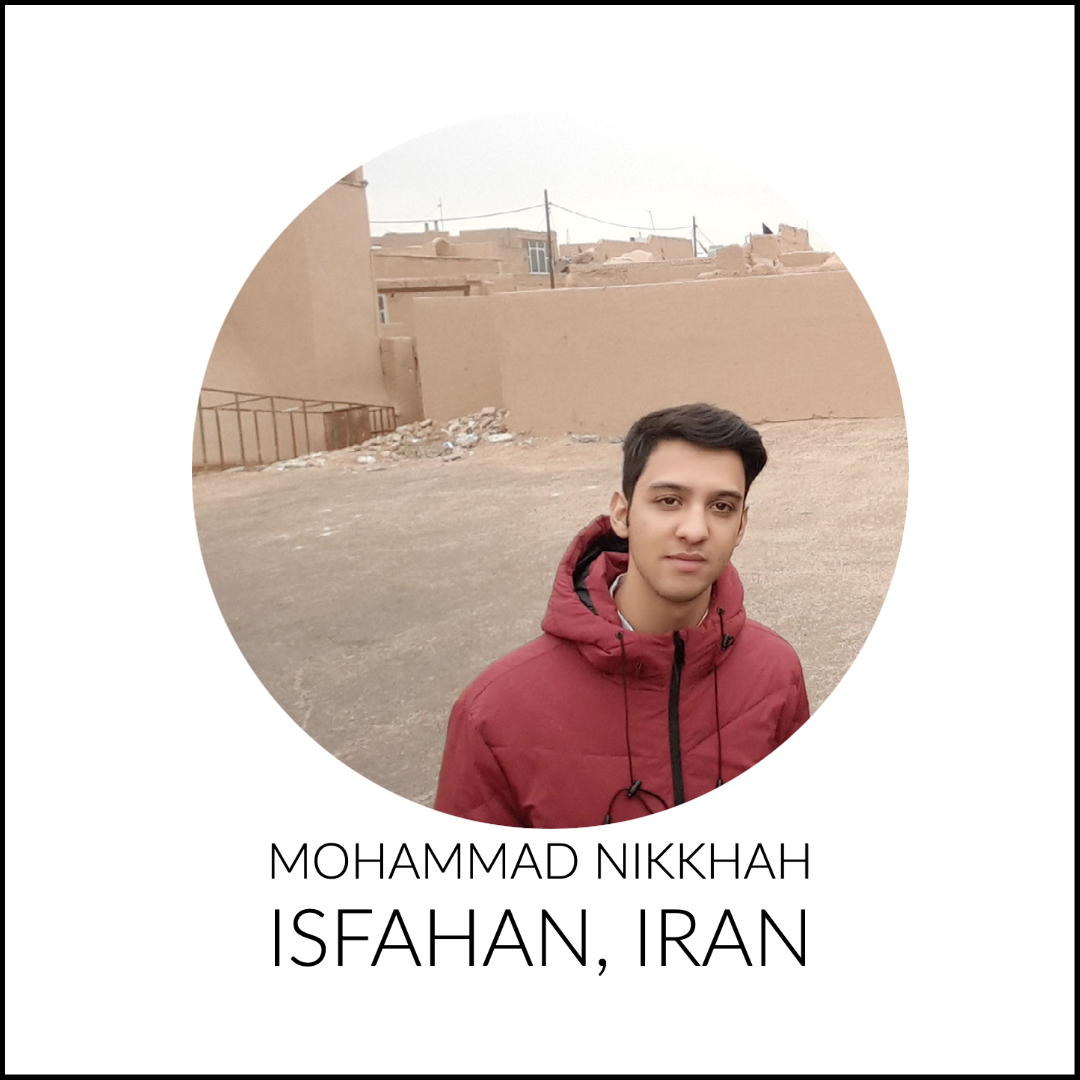 Healthy Pedestrian Street: Shiraz - Pedestrian Space