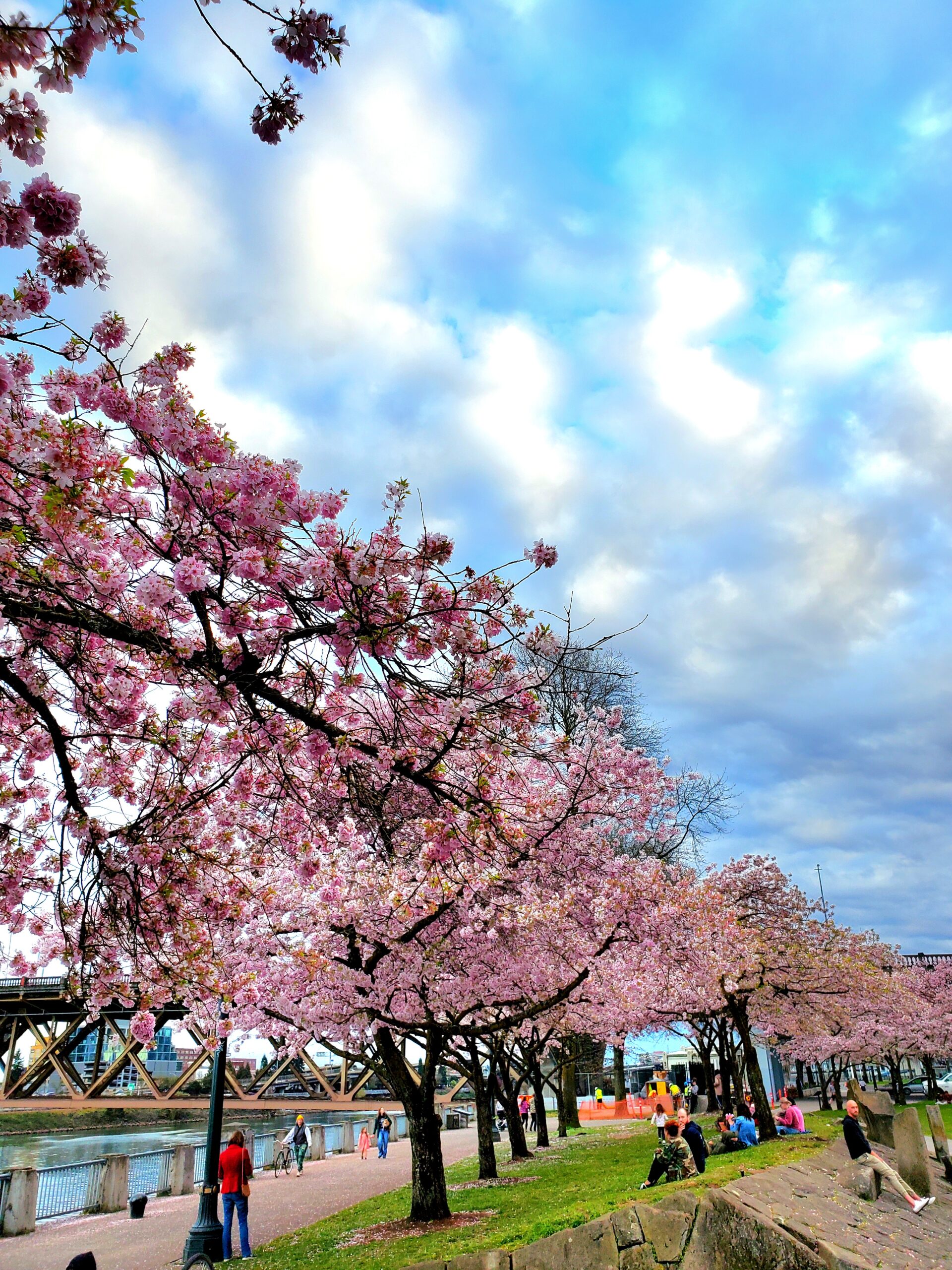 Snapshot Exploring Walkable Portland - Pedestrian Space