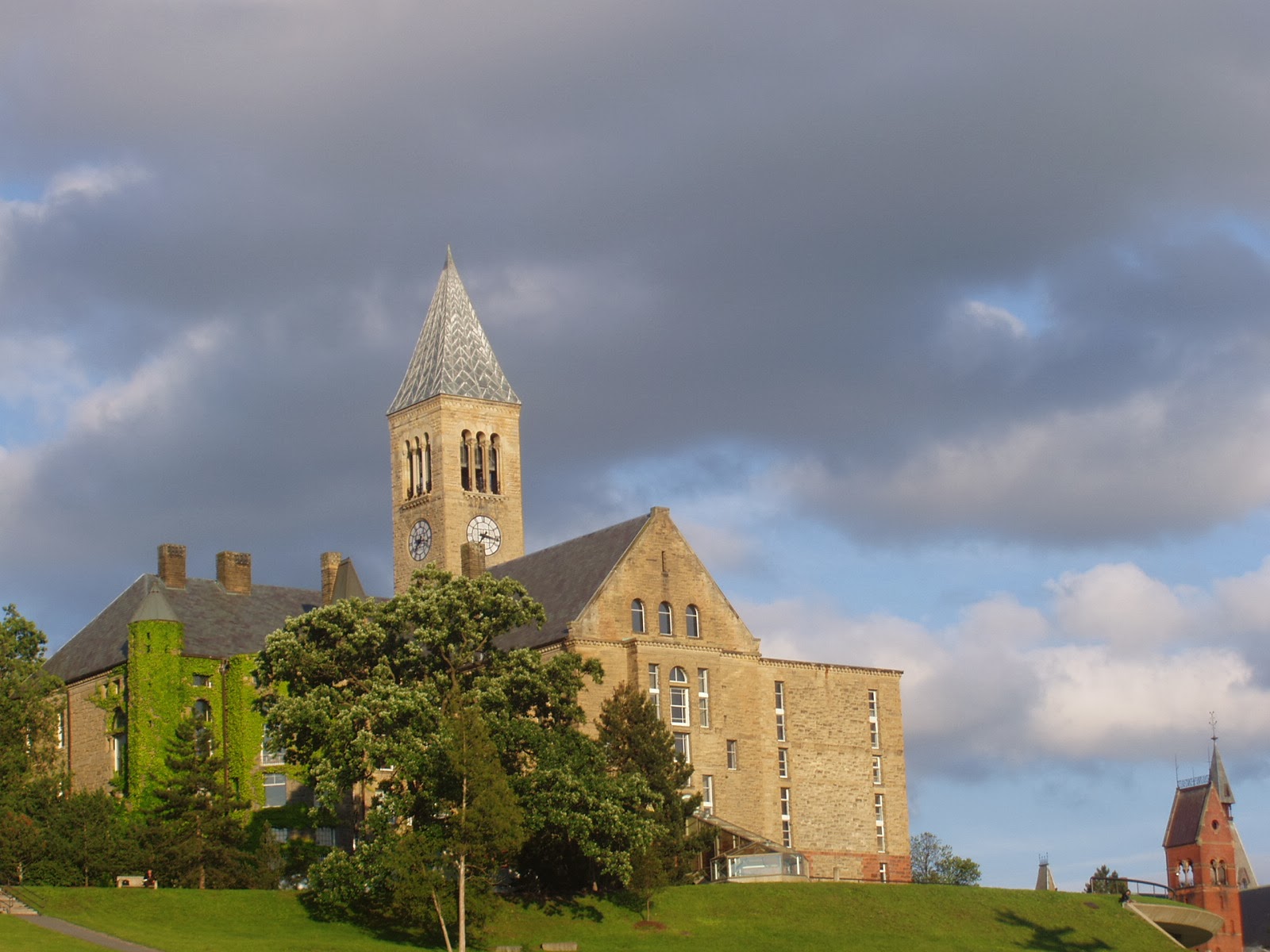 Reflections on Roots of Pedestrian Space - Pedestrian Space