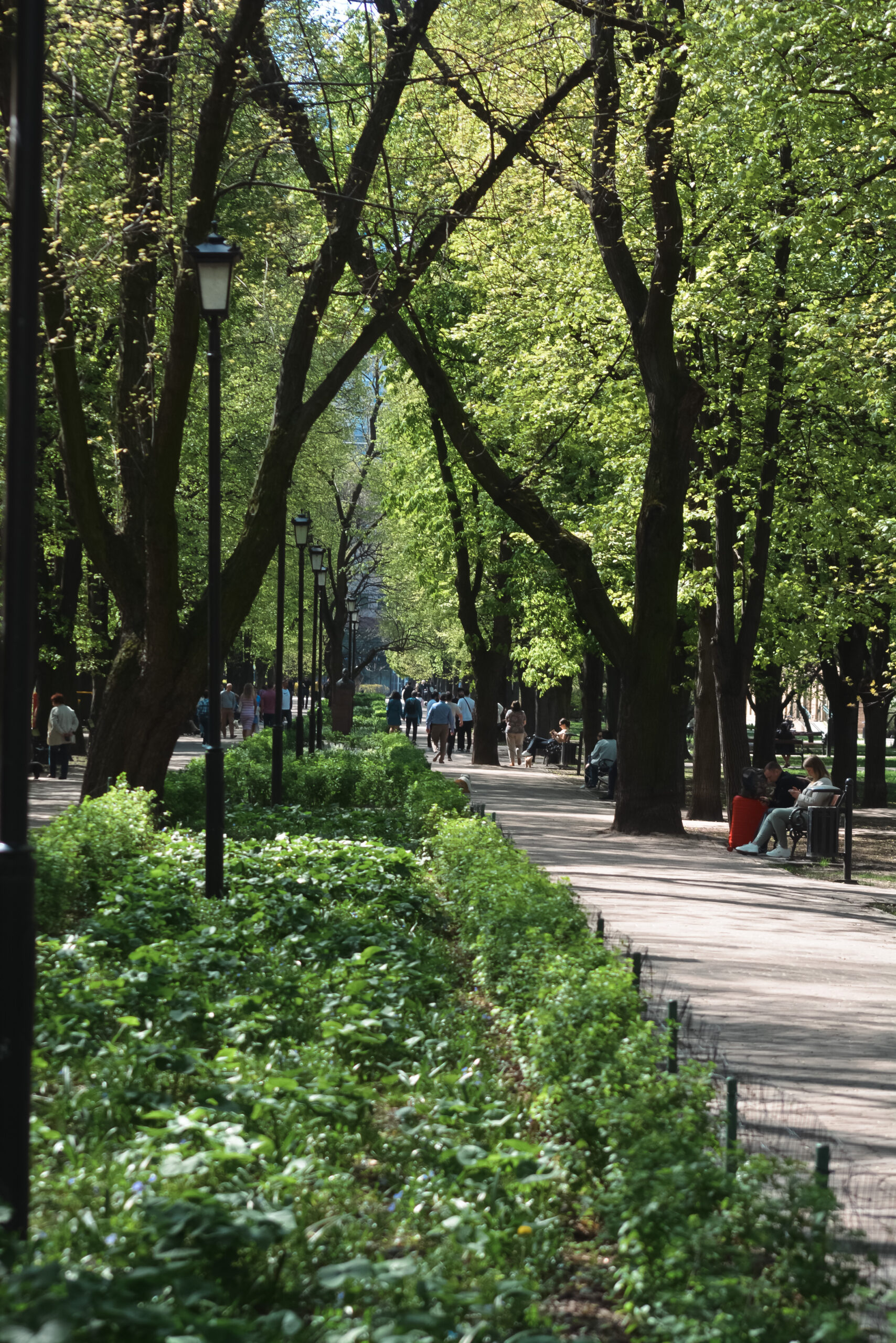 Humanistic Urbanism & the Humble Neighborhood Park - Pedestrian Space