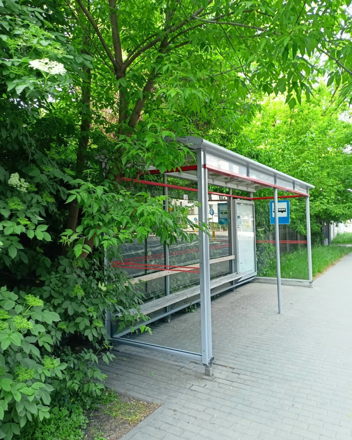Shaded bus stops - Pedestrian Space