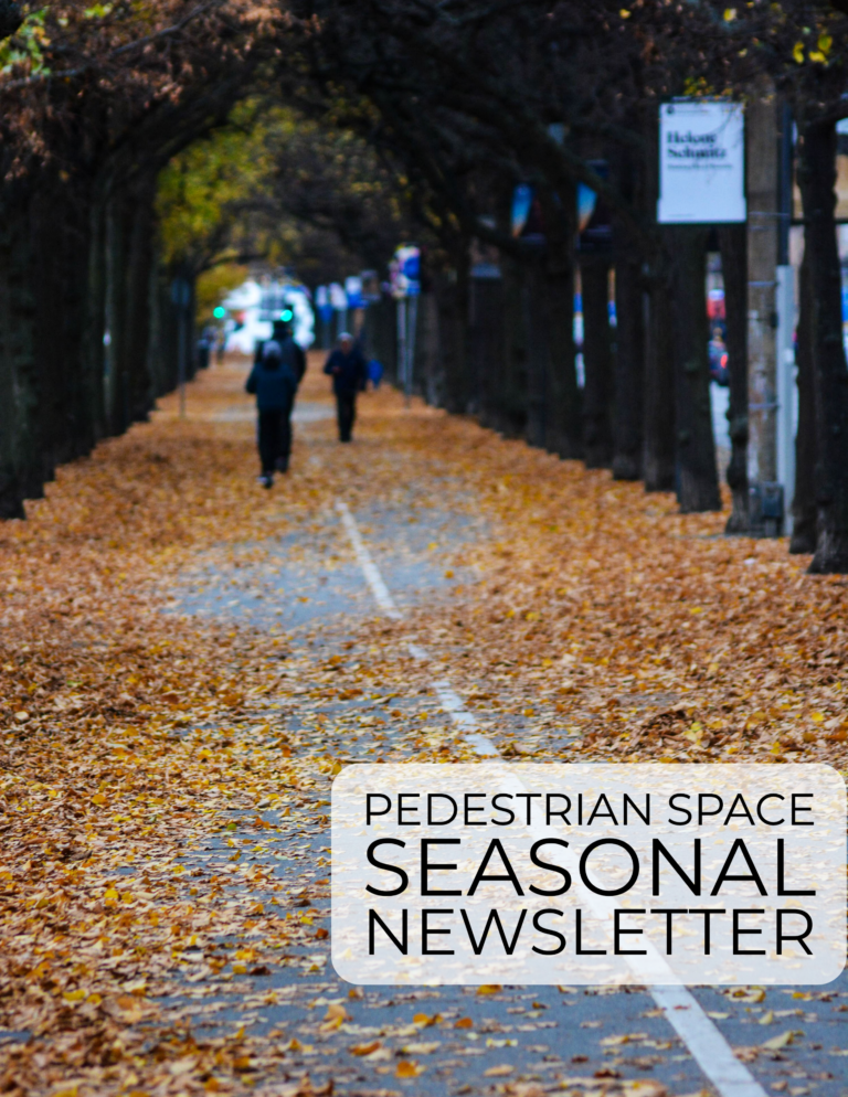 Pedestrian Streets - Pedestrian Space