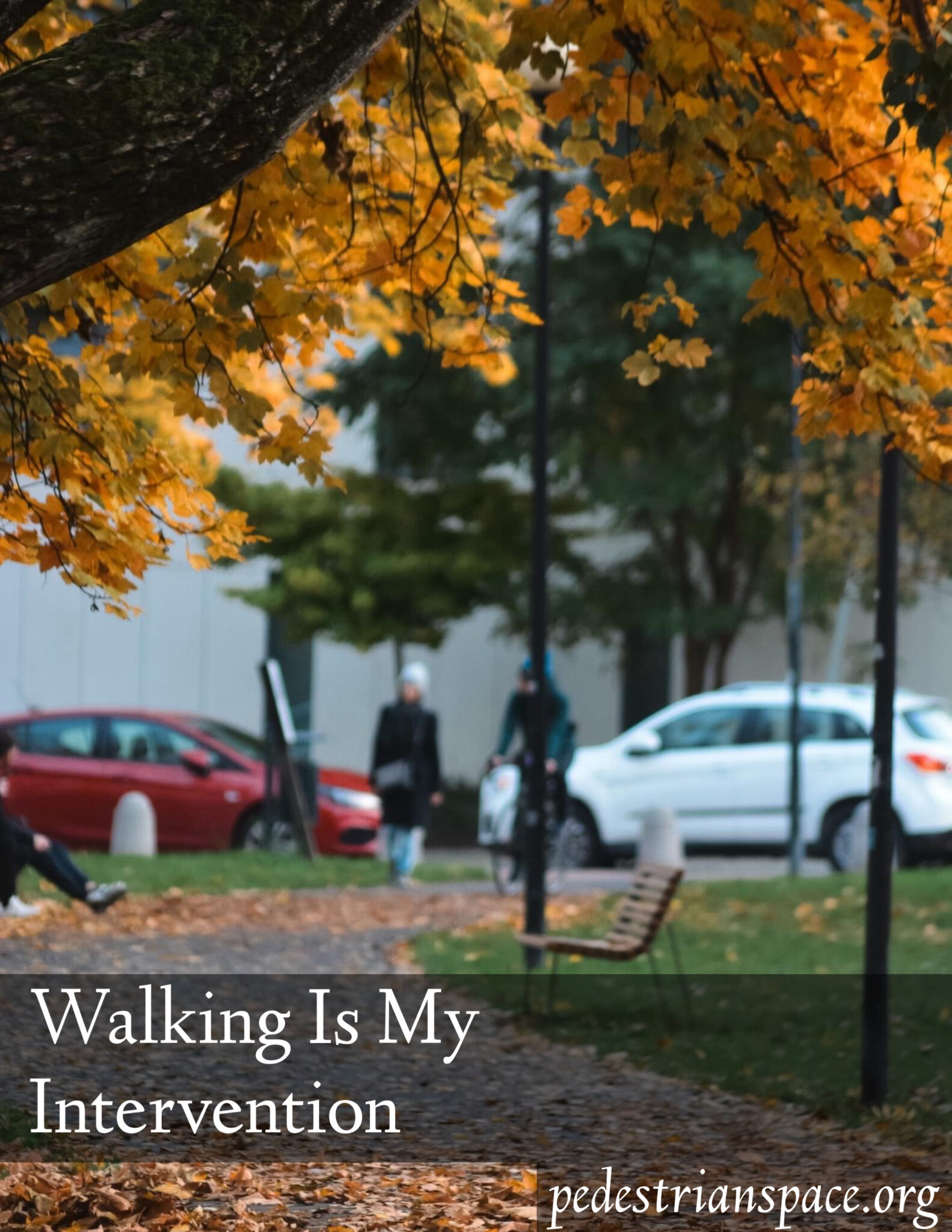 Walking is my Intervention - Pedestrian Space