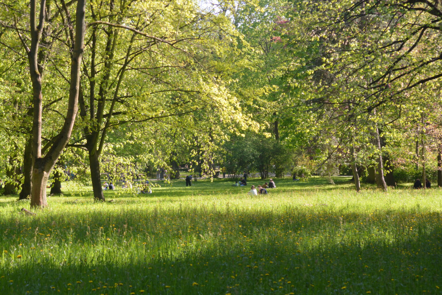 CEURES project: Presenting on Urban Meadows - Pedestrian Space