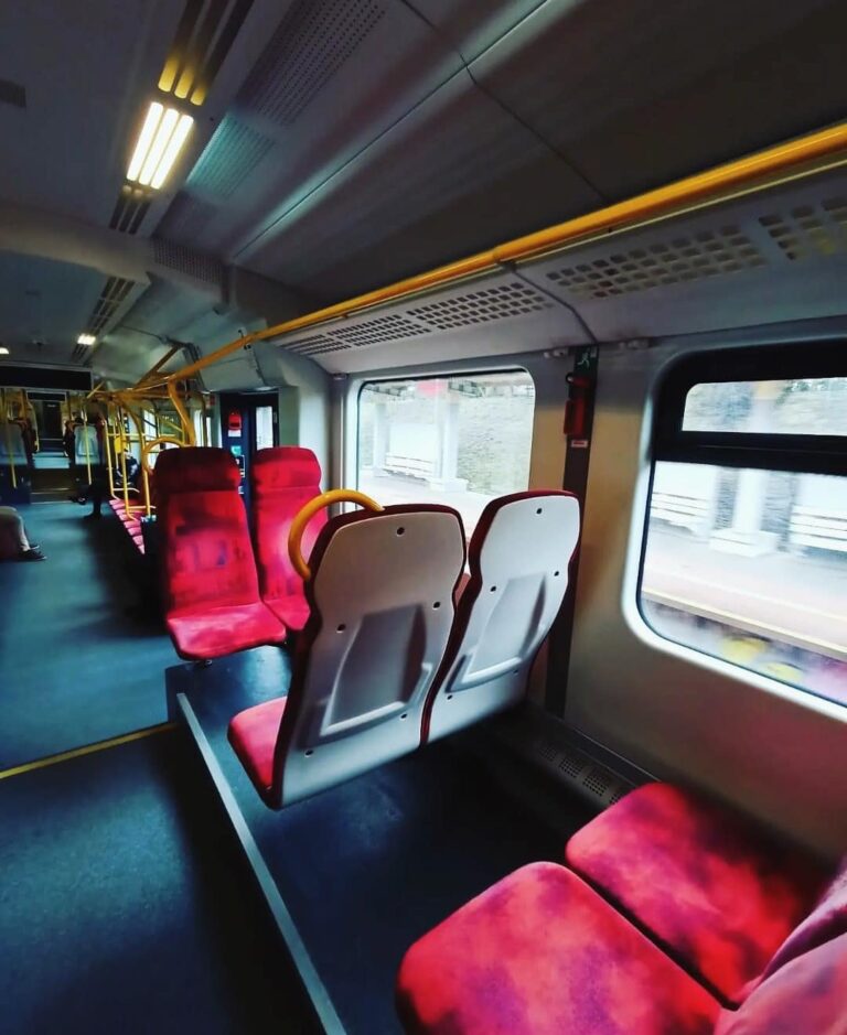 PUBLIC TRANSPORTATION & STIGMA - Pedestrian Space